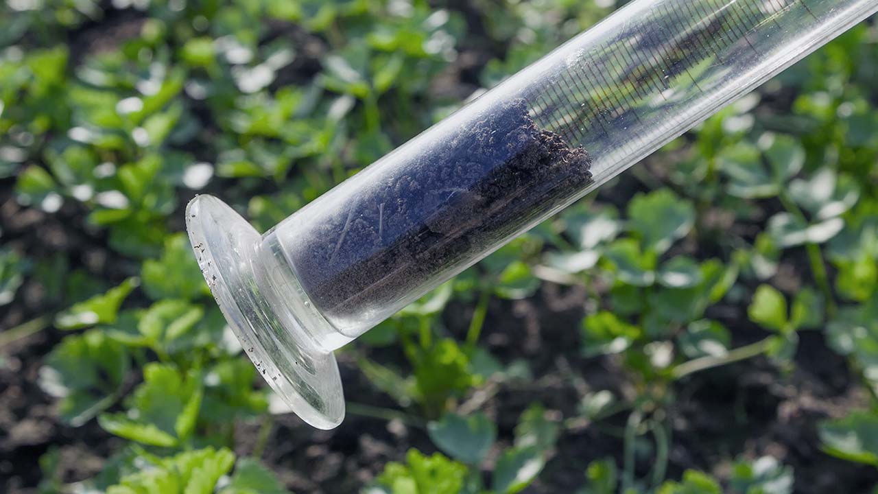 Soil Test